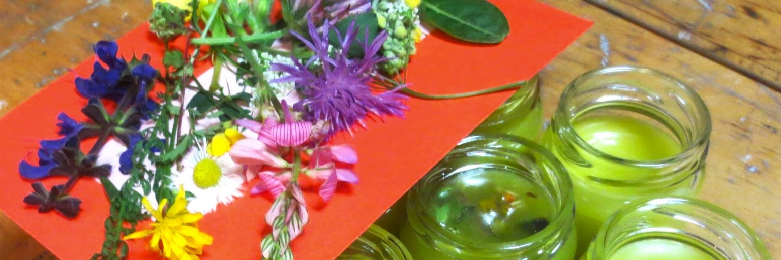 Salben aus Wald und Wiese selbst gemacht - Ackermannbogen e.V.